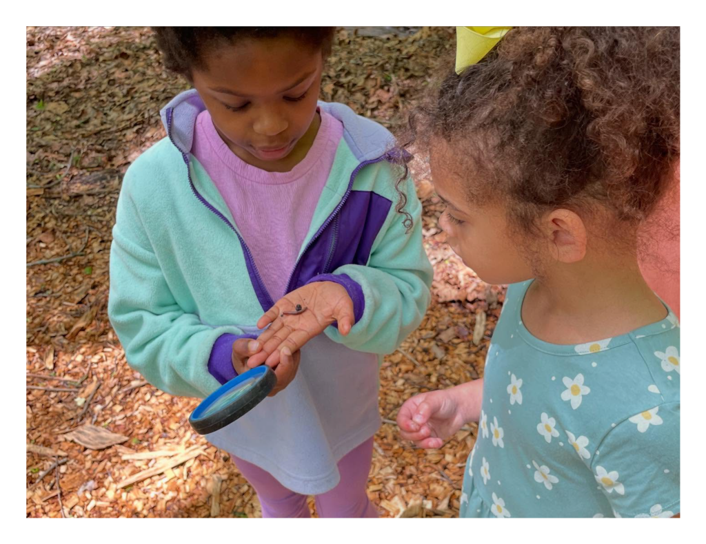 Summer Camp 2026 – Preview - Fern Hollow Nature Center